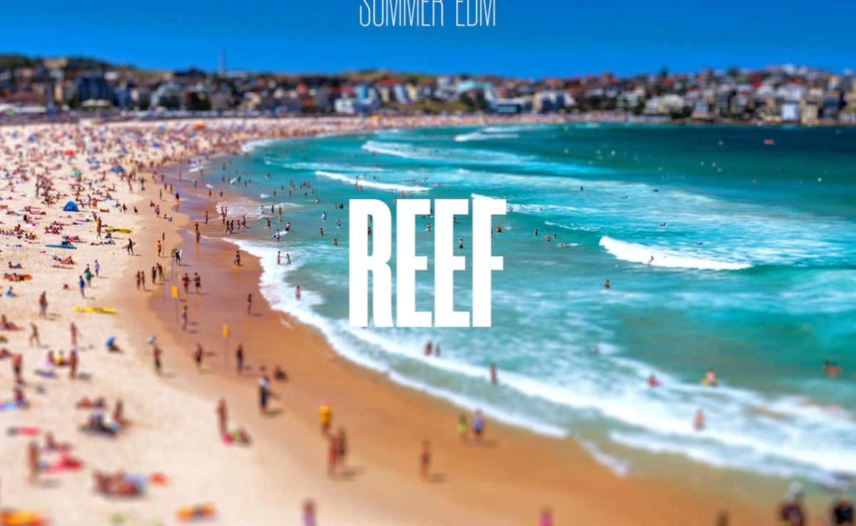 Summer EDM Reef / Summer EDM