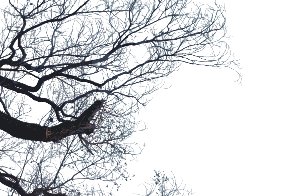 Withered tree 12 styles 8