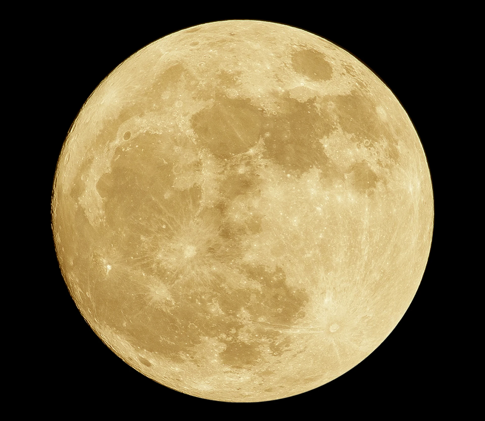 ACON - Digital Asset Store for All Creators